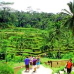 Ubud ATV Quad Bike and Kintamani Volcano Tour - Authentic Insights from Travelers