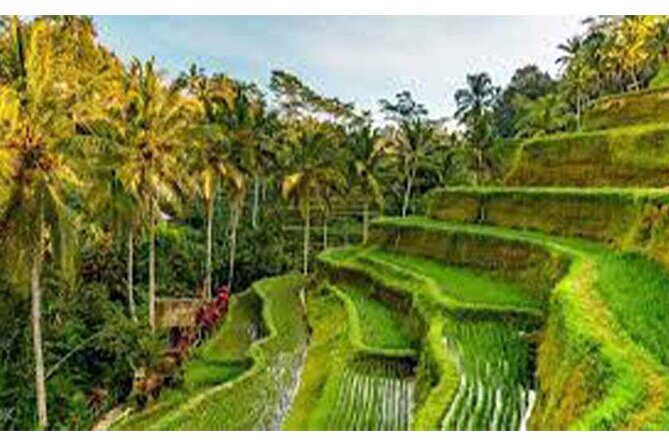 Ubud ATV Quad Bike, Monkey Forest and Rice Terrace - FAQs
