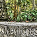 Ubud Bali Art and Culture Tour - Practical Tips for Your Day