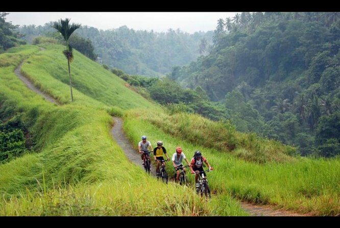 Ubud Bliss: Village Cycling and Jungle Swing Adventure - The Cultural Touches and Authentic Encounters