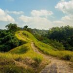 Ubud Countryside Tour: Campuhan Ridge Walk and Rice Terrace - Practical Aspects and What They Mean for You