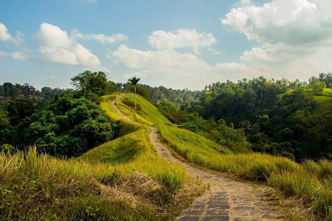 Ubud Countryside Tour: Campuhan Ridge Walk and Rice Terrace - Practical Aspects and What They Mean for You