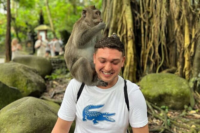 Ubud Full Day - Monkey Forest, Temple and Waterfalls Tour - Exploring the Itinerary in Detail