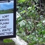 Ubud Full Day Sightseeing Private Guided Tour - What Do We Think? The Real Value