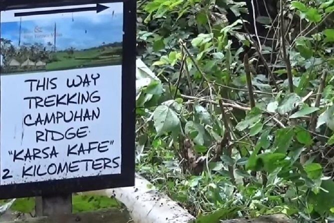 Ubud Full Day Sightseeing Private Guided Tour - What Do We Think? The Real Value