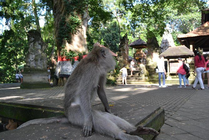 Ubud Full Day Tour - Costumeize Your Own Trip - Sacred Monkey Forest Sanctuary: Meet Bali’s Playful Residents