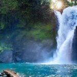 Ubud Full Day Tour Waterfall Monkey Forest Rice Terrace - What the Tour Looks Like in Practice