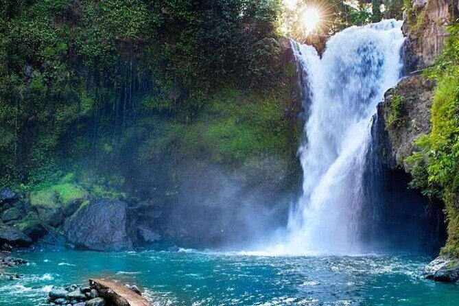 Ubud Full Day Tour Waterfall Monkey Forest Rice Terrace - What the Tour Looks Like in Practice