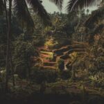 Ubud Guided Tour & Iconic Tanah Lot Temple - What Travelers Say