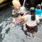 Ubud half day Tours - The Itinerary: A Taste of Ubud’s Highlights