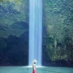 Ubud Highlight Rice Terrace,Waterfall,Temple and Art village - Who Should Consider This Tour?