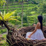 Ubud Highlights -Private Tour,Temples, Waterfalls & Rice terraces - A Deep Dive into the Itinerary