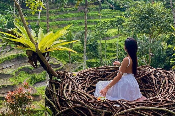 Ubud Highlights -Private Tour,Temples, Waterfalls & Rice terraces - A Deep Dive into the Itinerary