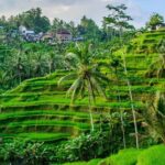 Ubud Holy Spring Temple Blissful Cleansing - Why This Tour Offers Real Value