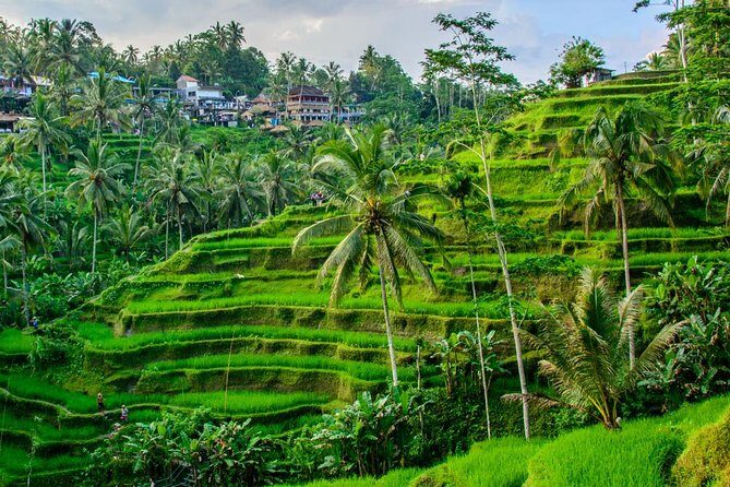 Ubud Holy Spring Temple Blissful Cleansing - Why This Tour Offers Real Value