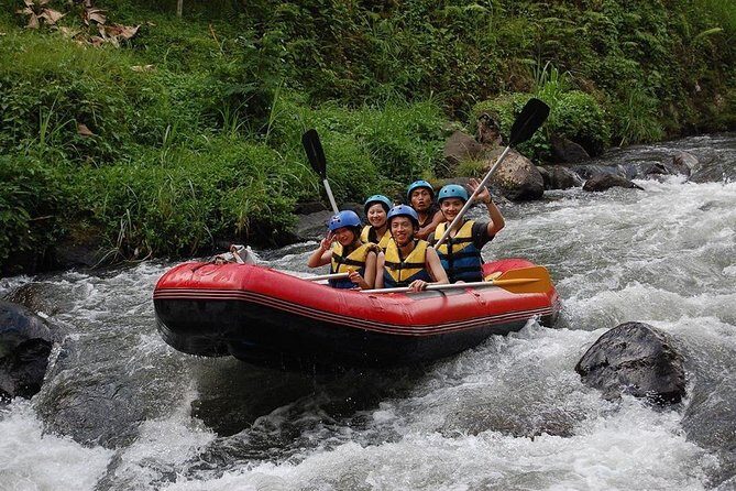 Ubud Hype: Jungle Swing, Bird Nest, Ayung River Rafting with Transport & Lunch - Who Should Book This Tour?
