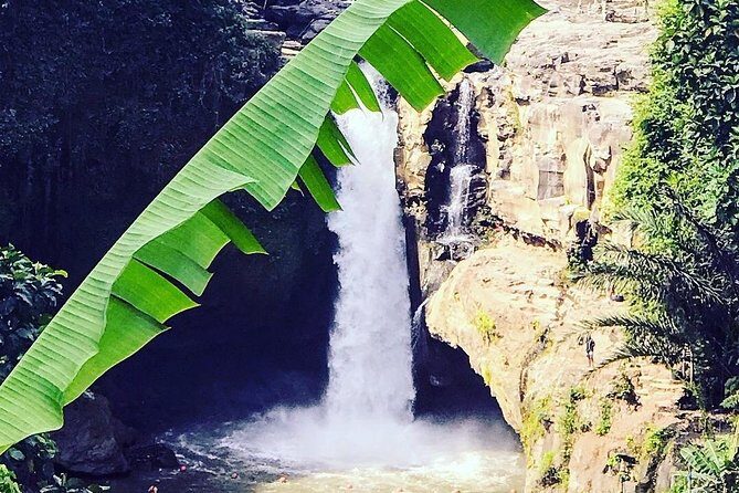 Ubud iconic waterfall and temple tours - A Detailed Look at the Tour: What You Can Expect