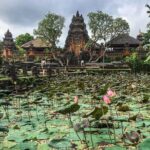 Ubud Instagram Spots Tour - One Day Private Trip - Authentic Reactions from Travelers