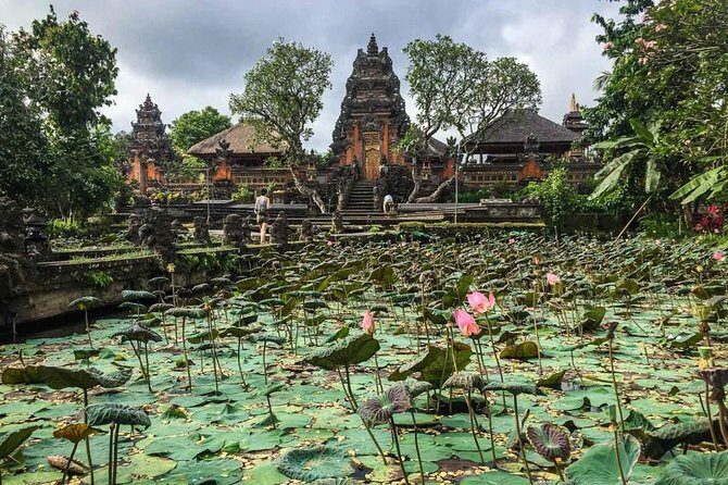 Ubud Instagram Spots Tour - One Day Private Trip - Authentic Reactions from Travelers
