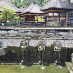 Ubud Kintamani Tour - Practical Details to Consider