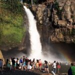 Ubud Monkey Forest And Waterfall Private Day Trip. - Evaluating the Value