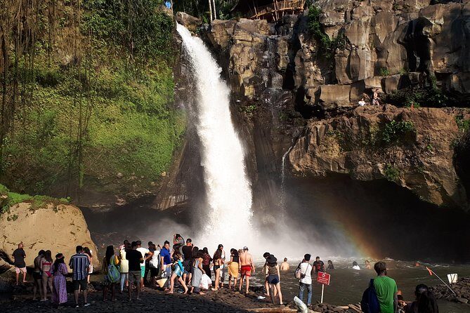 Ubud Monkey Forest And Waterfall Private Day Trip. - Evaluating the Value