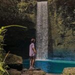 Ubud Monkey Forest, Holy Water Temple & Waterfalls Tours - Who Will Love This Tour?