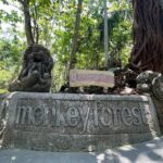 Ubud Monkey Forest Sanctuary Entrance Ticket All Inclusive - Why Guided Tours Elevate the Experience