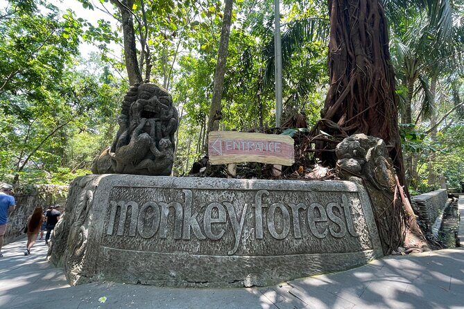 Ubud Monkey Forest Sanctuary Entrance Ticket All Inclusive - Why Guided Tours Elevate the Experience