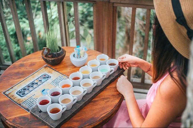 Ubud Nature Tours including Culture, Arts, Temple, Volcano, Rice field & Shows - Balancing the Budget and the Experience