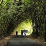 Ubud Nature Waterfall Tour - Who Will Love This Tour?