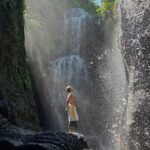 Ubud: Purification at the temple, waterfalls, Tegallalang rice fields - Detailed Breakdown of the Itinerary