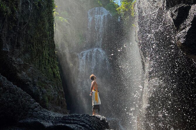 Ubud: Purification at the temple, waterfalls, Tegallalang rice fields - Detailed Breakdown of the Itinerary