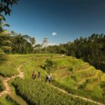 Ubud Rafting - Rice Terrace - Tegenungan Waterfall - Tanah Lot Sunset Temple - Authentic Experiences: What You Will Gain