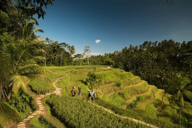 Ubud Rafting - Rice Terrace - Tegenungan Waterfall - Tanah Lot Sunset Temple - Authentic Experiences: What You Will Gain