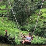 Ubud Rice Terrace Swing Waterfall Private Guided Tour - The Itinerary in Detail