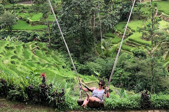 Ubud Rice Terrace Swing Waterfall Private Guided Tour - The Itinerary in Detail