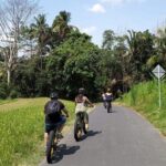 Ubud Rice Terraces eBike Private Tour - The Itinerary: What to Expect at Each Stop