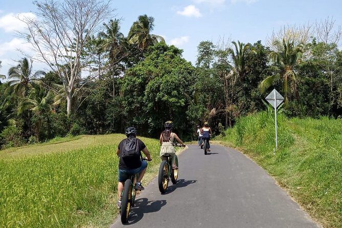 Ubud Rice Terraces eBike Private Tour - The Itinerary: What to Expect at Each Stop