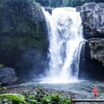 Ubud Story Walking Tour by Spanish and English Tour Guide - What’s Included and What’s Not