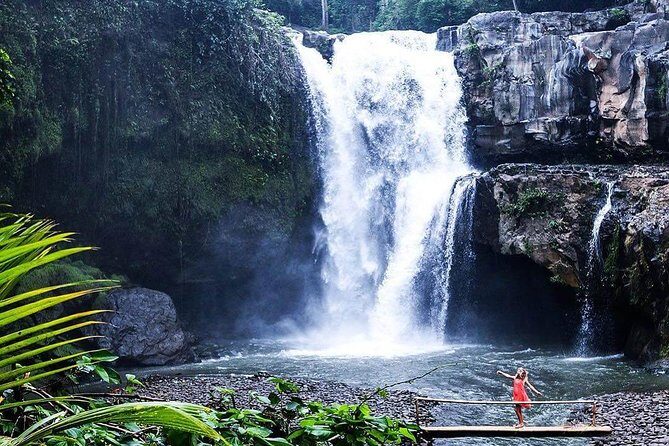 Ubud Story Walking Tour by Spanish and English Tour Guide - What’s Included and What’s Not