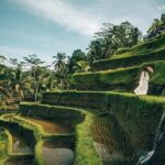 Ubud: Swing - Monkey Forest - Waterfall - Temple - Rice Terraces - Art Crafts - Who Should Take This Tour?