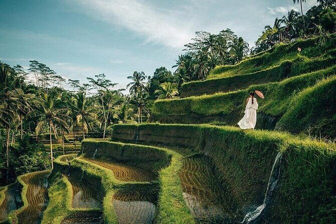 Ubud: Swing - Monkey Forest - Waterfall - Temple - Rice Terraces - Art Crafts - Who Should Take This Tour?