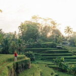 Ubud Swing, Rice Terrace and Waterfall Highlights Tour - Concluding with a Classic Bali Waterfall