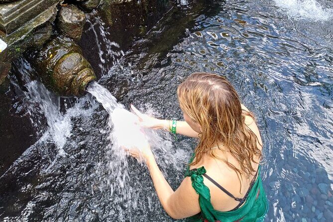 Ubud Tirta Empul Temple Swing And Waterfall Private Guided Tour - What Makes This Tour Stand Out?