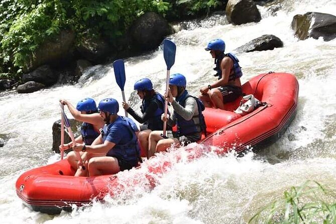 Ubud Tour by Scooter - Transportation and Practical Details