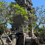 Ubud Tour - Highlight of Ubud - Traditional Tour - Who Will Enjoy This Tour?