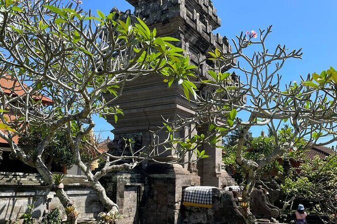 Ubud Tour - Highlight of Ubud - Traditional Tour - Who Will Enjoy This Tour?