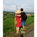 Ubud Tour Monkey Forest, Rice Terrace, Swing, Temple, Waterfall - Who Will Love This Tour?