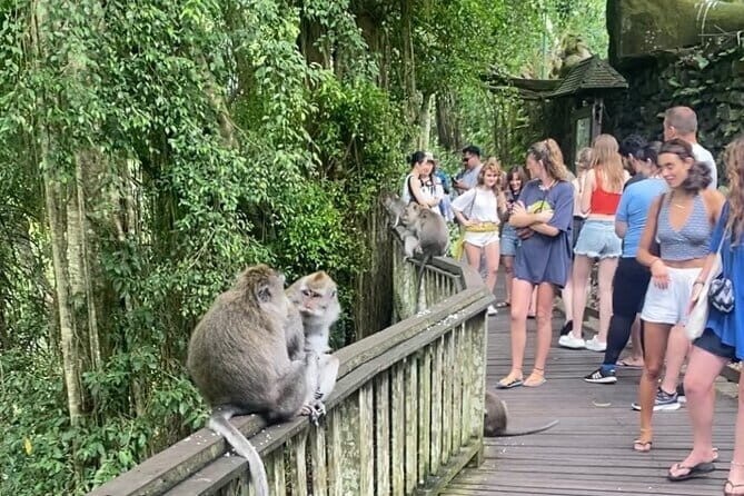 Ubud Tour - Ubud Highlight Culture, Tradition, Nature - The Practicalities: What You Need to Know